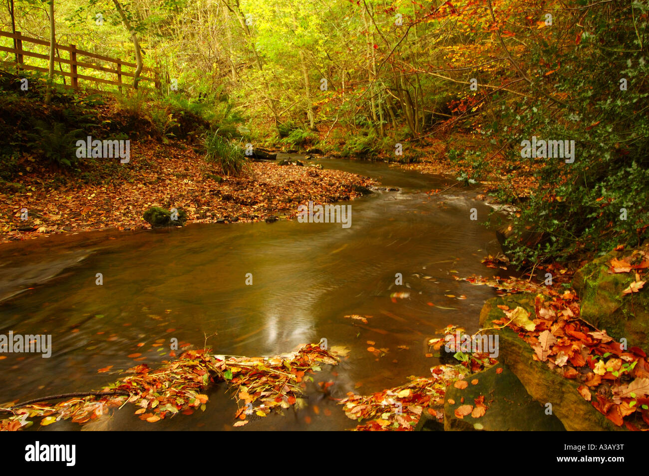 May Beck, Littlebeck, North Yorkshire Moors Stock Photo - Alamy