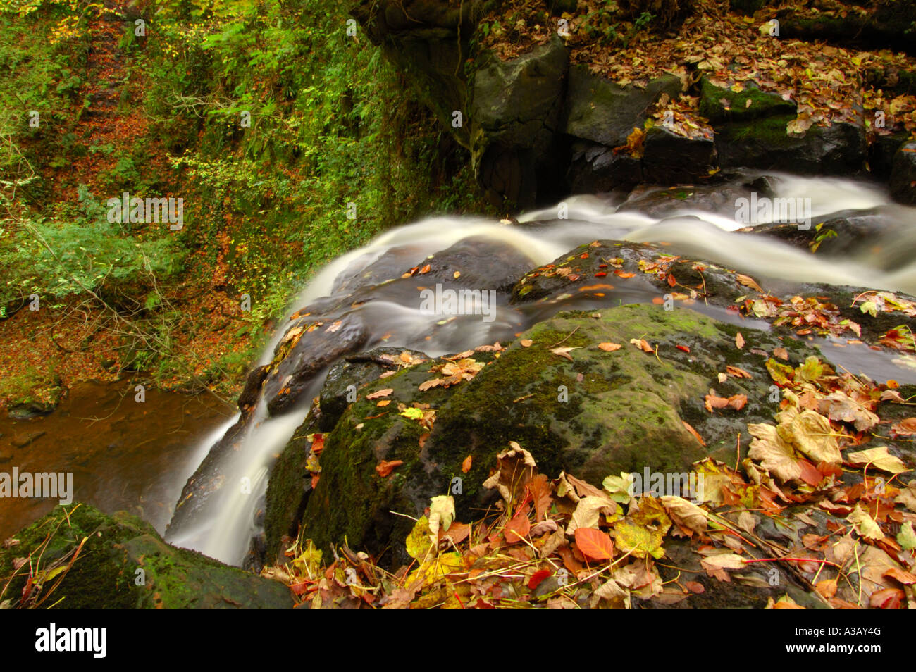 Falling Foss, Littlebeck, North Yorkshire Moors Stock Photo - Alamy