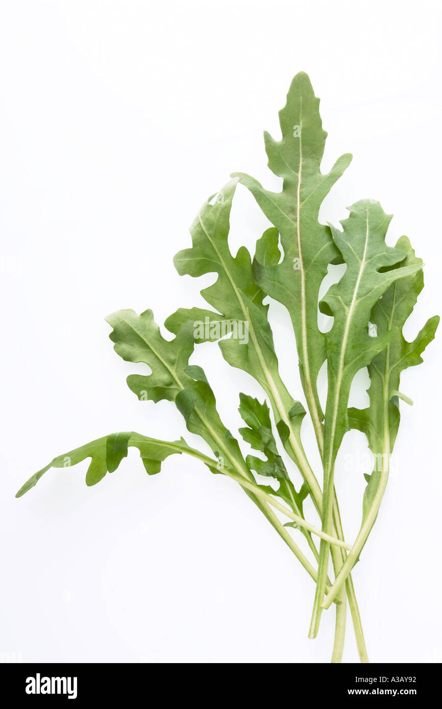 Rocket leaves cut out hi-res stock photography and images - Alamy