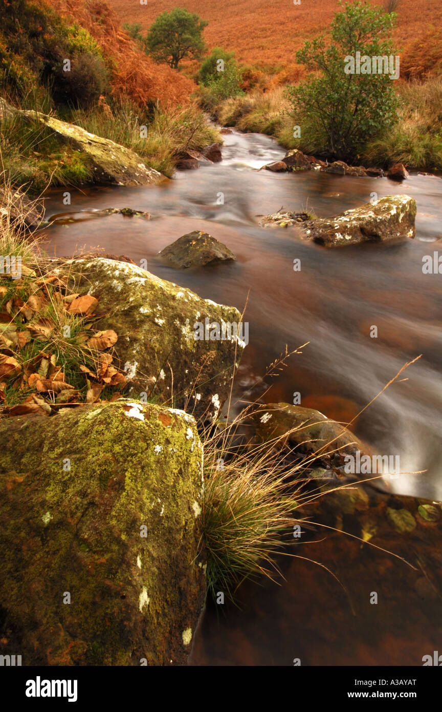 Cod Beck, Sheepwash, Osmotherley, North Yorkshire Moors Stock Photo - Alamy