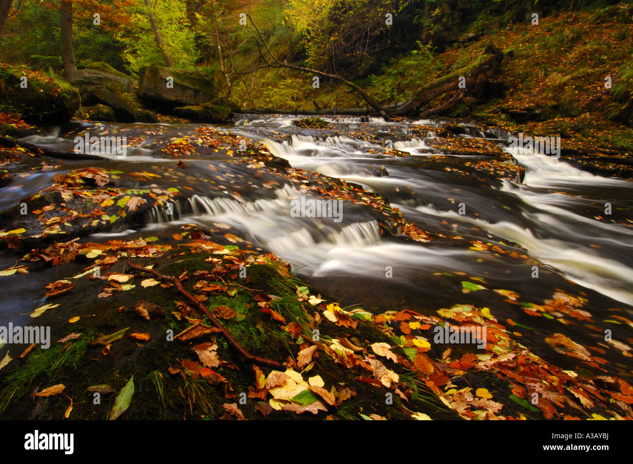 Eller Beck, Beck Hole, North Yorkshire Moors Stock Photo - Alamy