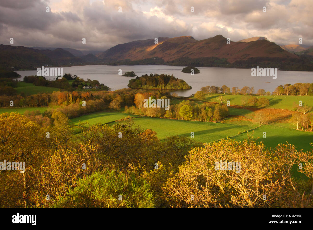 Derwent Water from Castlehead, Keswick, Lake District Stock Photo - Alamy