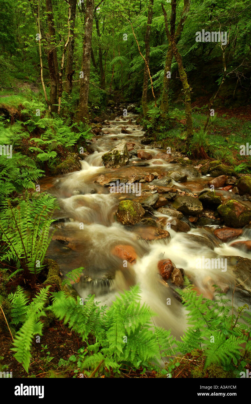 Alt a Chumhainn, Kinlochmore, Scotland Stock Photo - Alamy