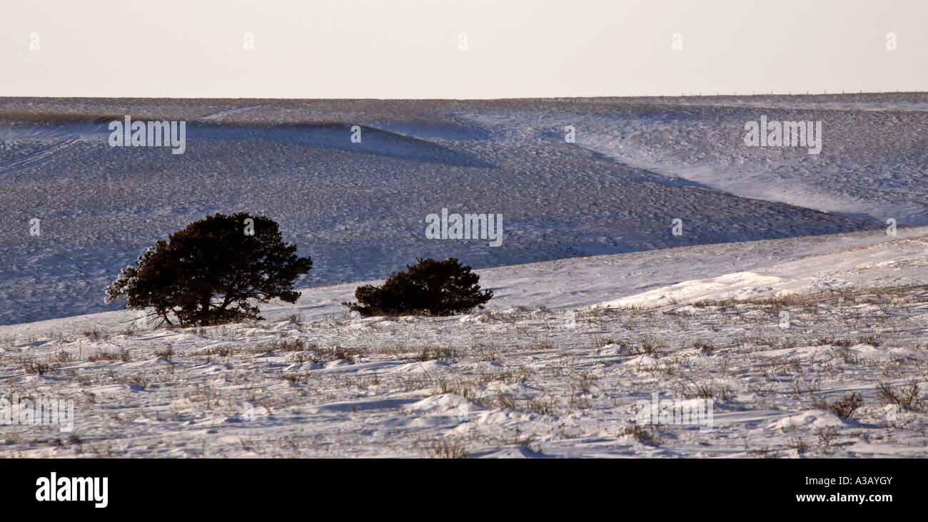 Windswept plains hi-res stock photography and images - Alamy