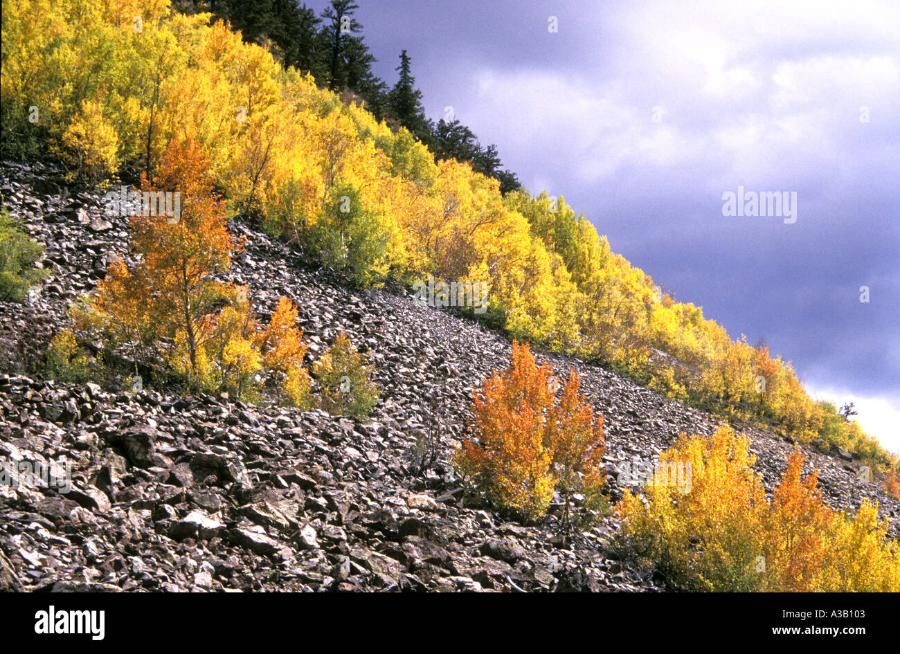 Autumn in Rockies Colorado USA Stock Photo - Alamy