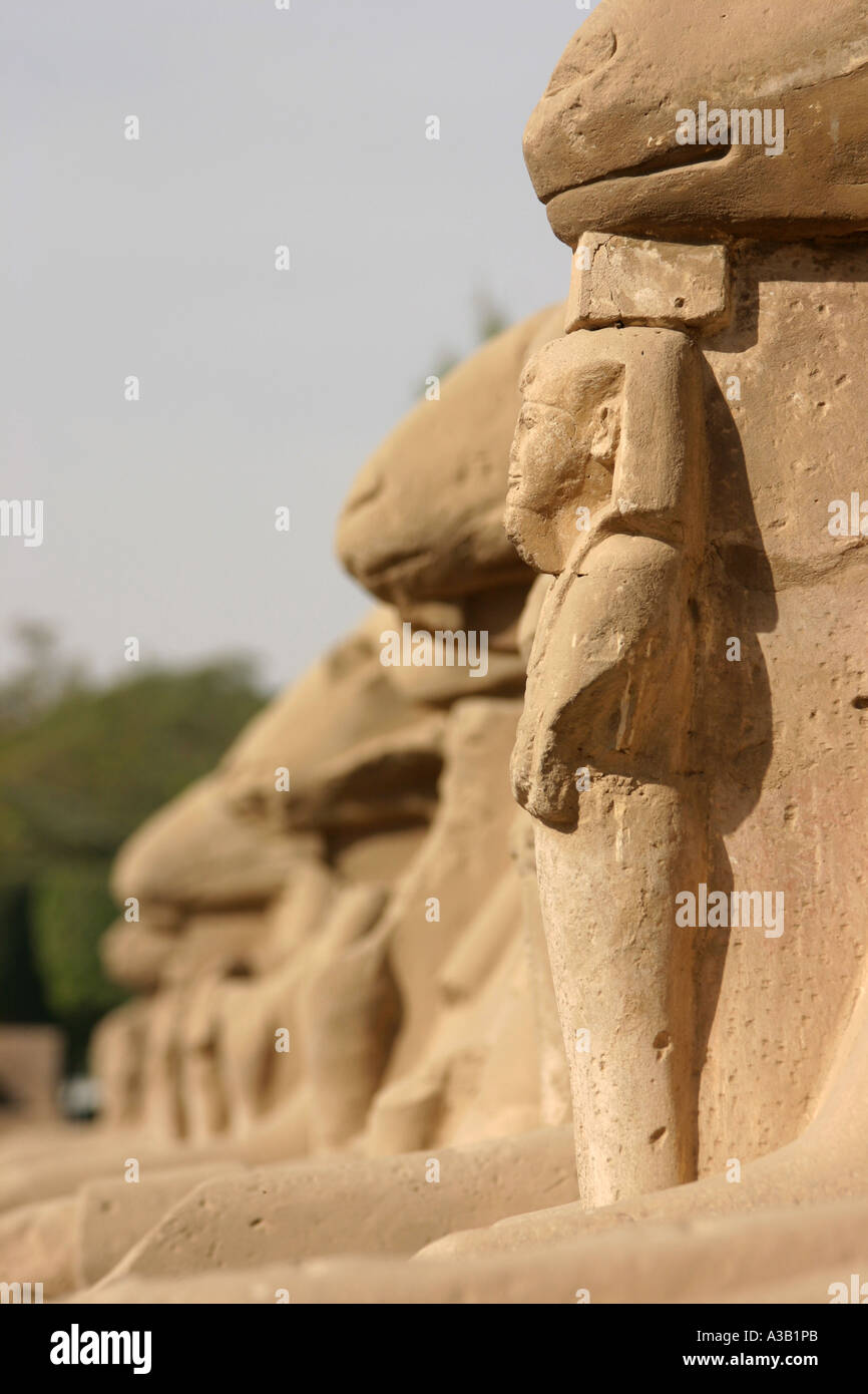 Small statue of pharaoh, the Processional Avenue of Sphinxes between ...