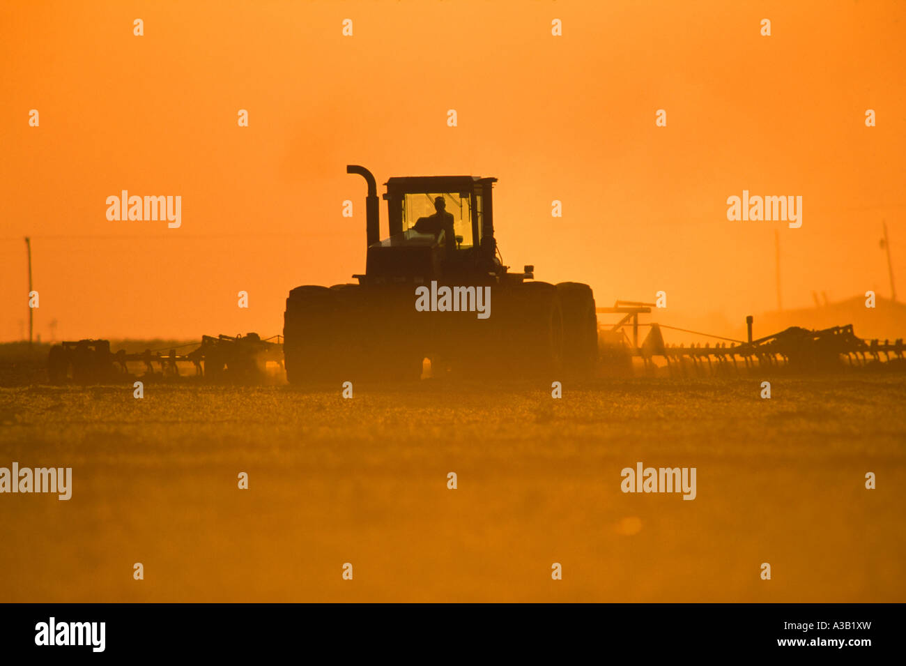 Milo field crops hi-res stock photography and images - Alamy