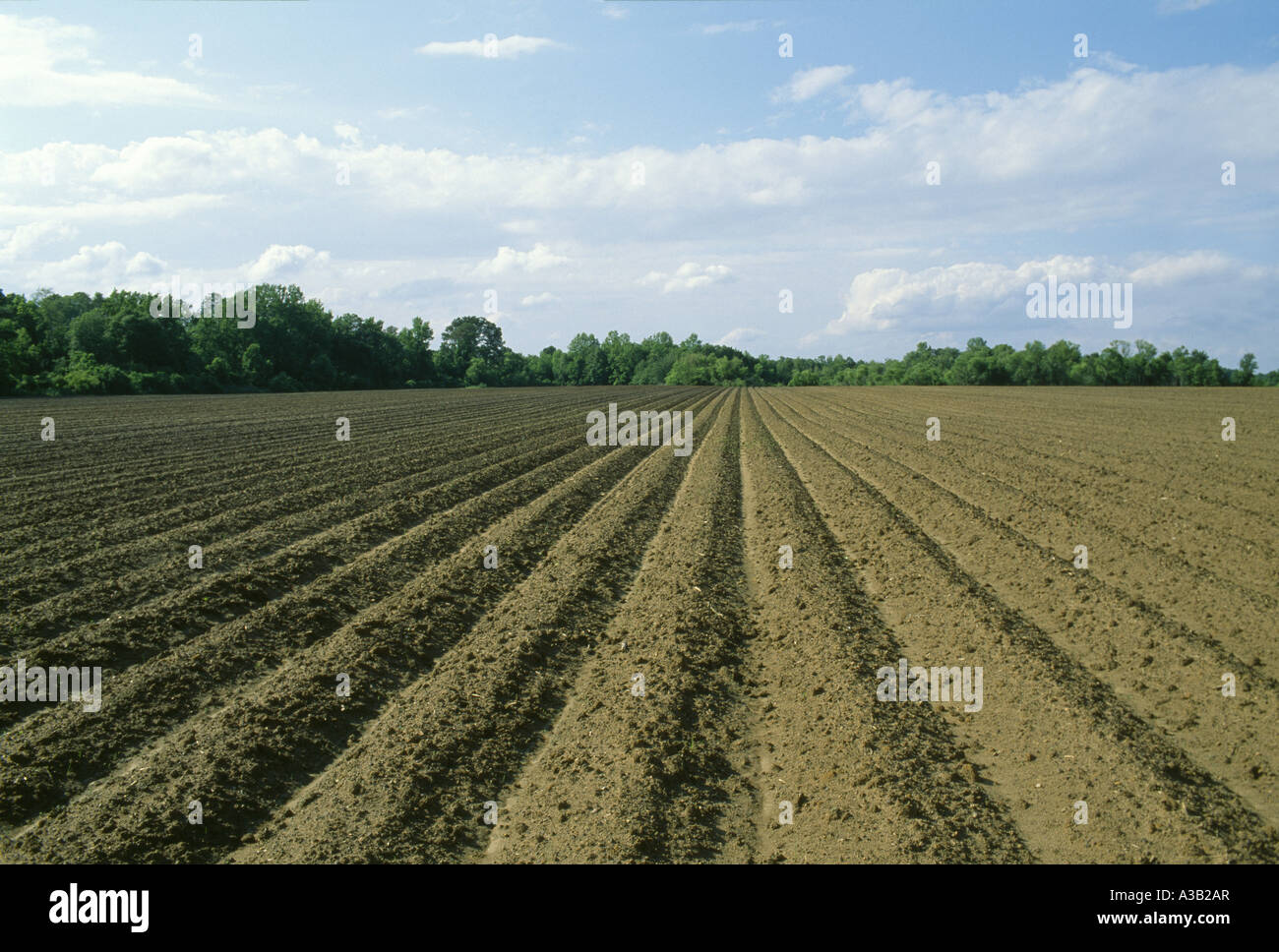 Row tilled crop hi-res stock photography and images - Alamy