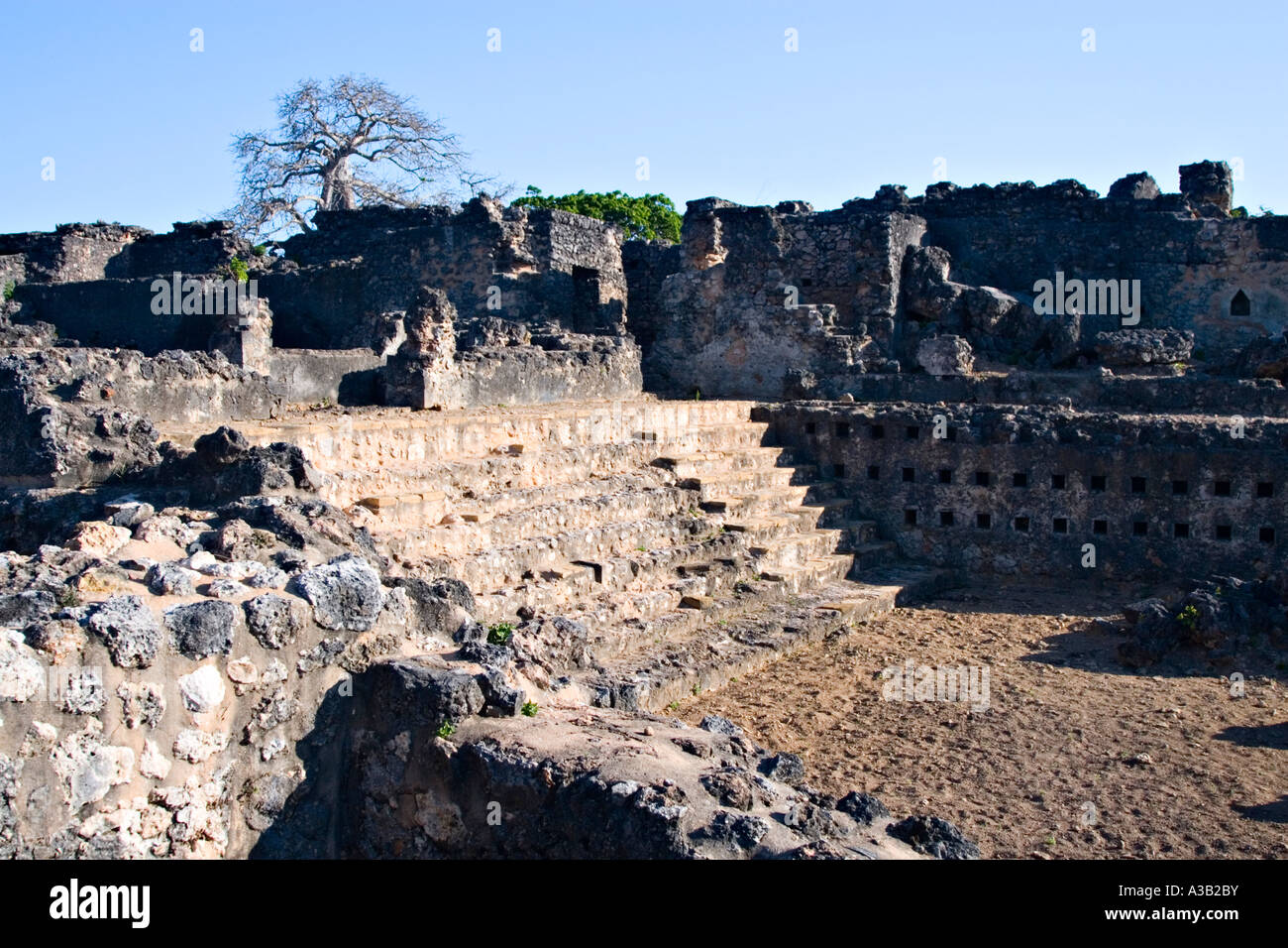 Kilwa Antiga 6 Days Nyerere National Park (Selous Game Reserve)