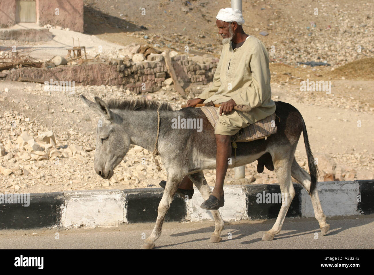 Old Egyptian man on donkey, West bank of Nile, Luxor, Egypt Stock Photo ...