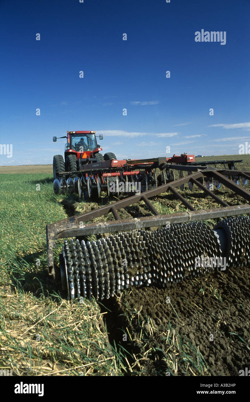 NEW CASE IH MX200 TRACTOR DISKING WHEAT STUBBLE TO PLANT ALFALFA USING ...