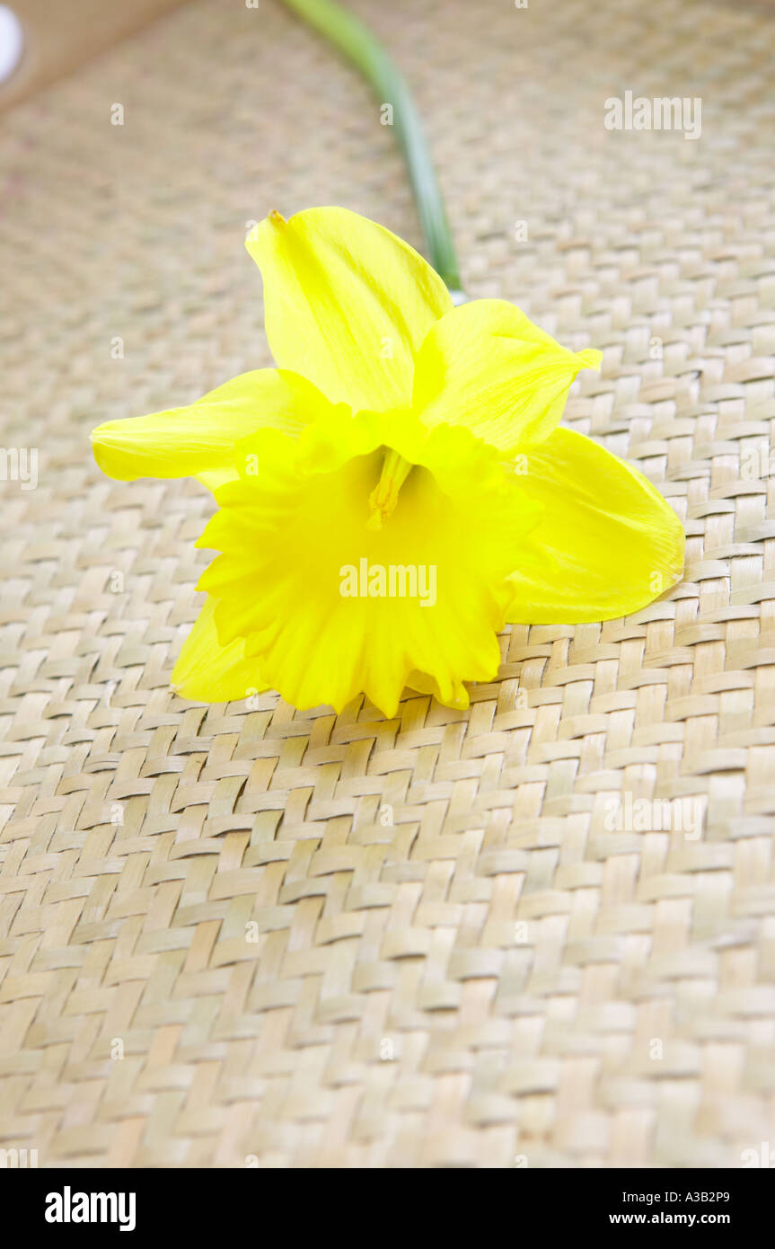 Daf hi-res stock photography and images - Alamy