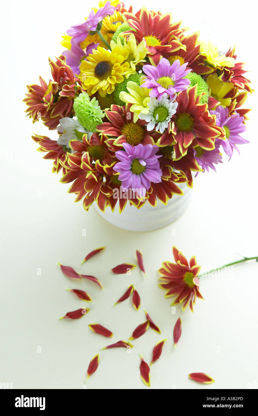 A bunch of colorful flowers in white vase Stock Photo - Alamy
