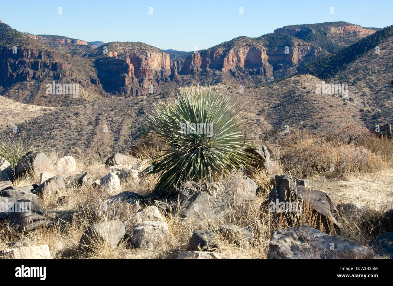 Salt River Canyon, Arizona 2 Stock Photo - Alamy