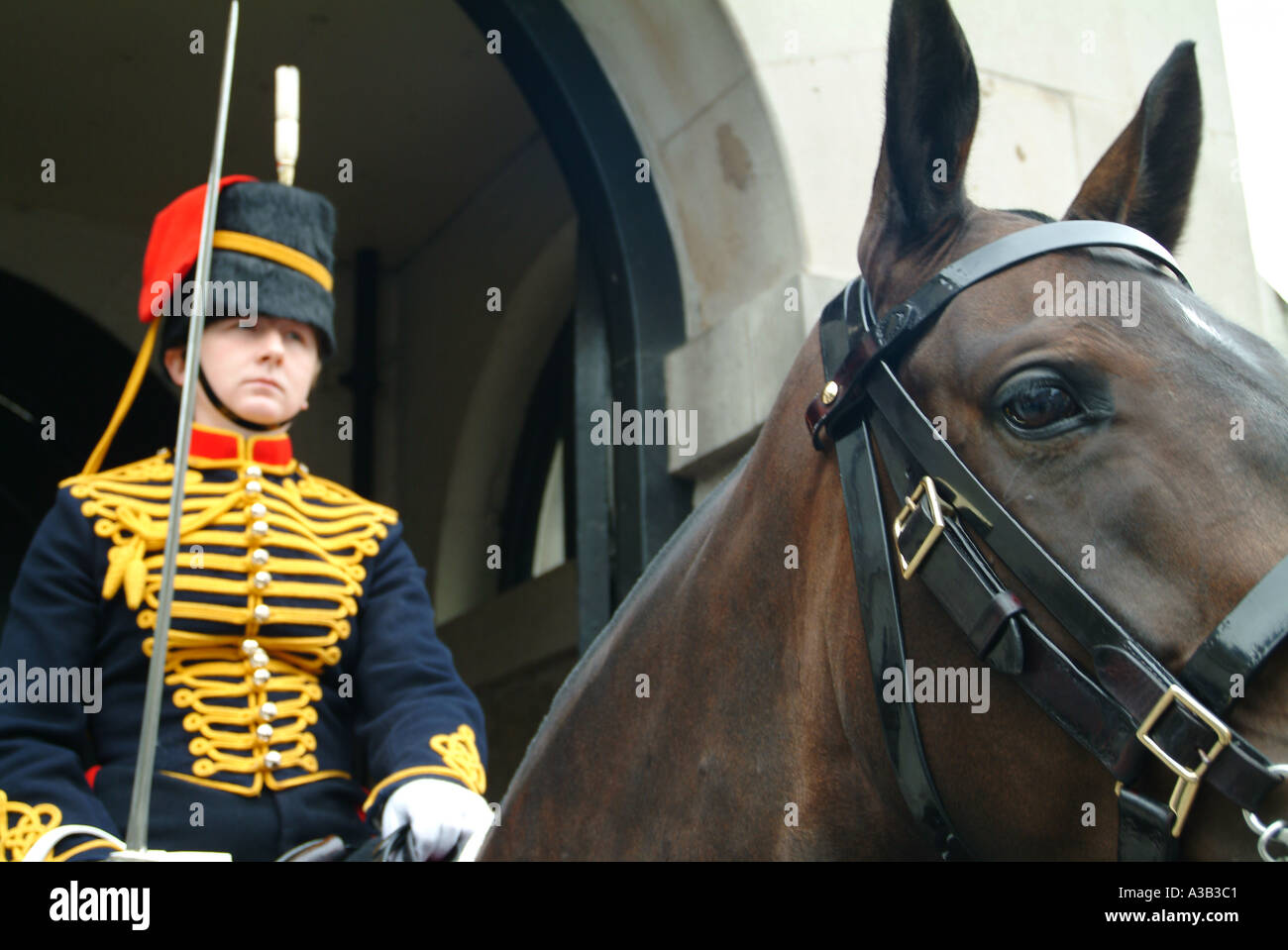 Soldier standing straight hi-res stock photography and images - Alamy