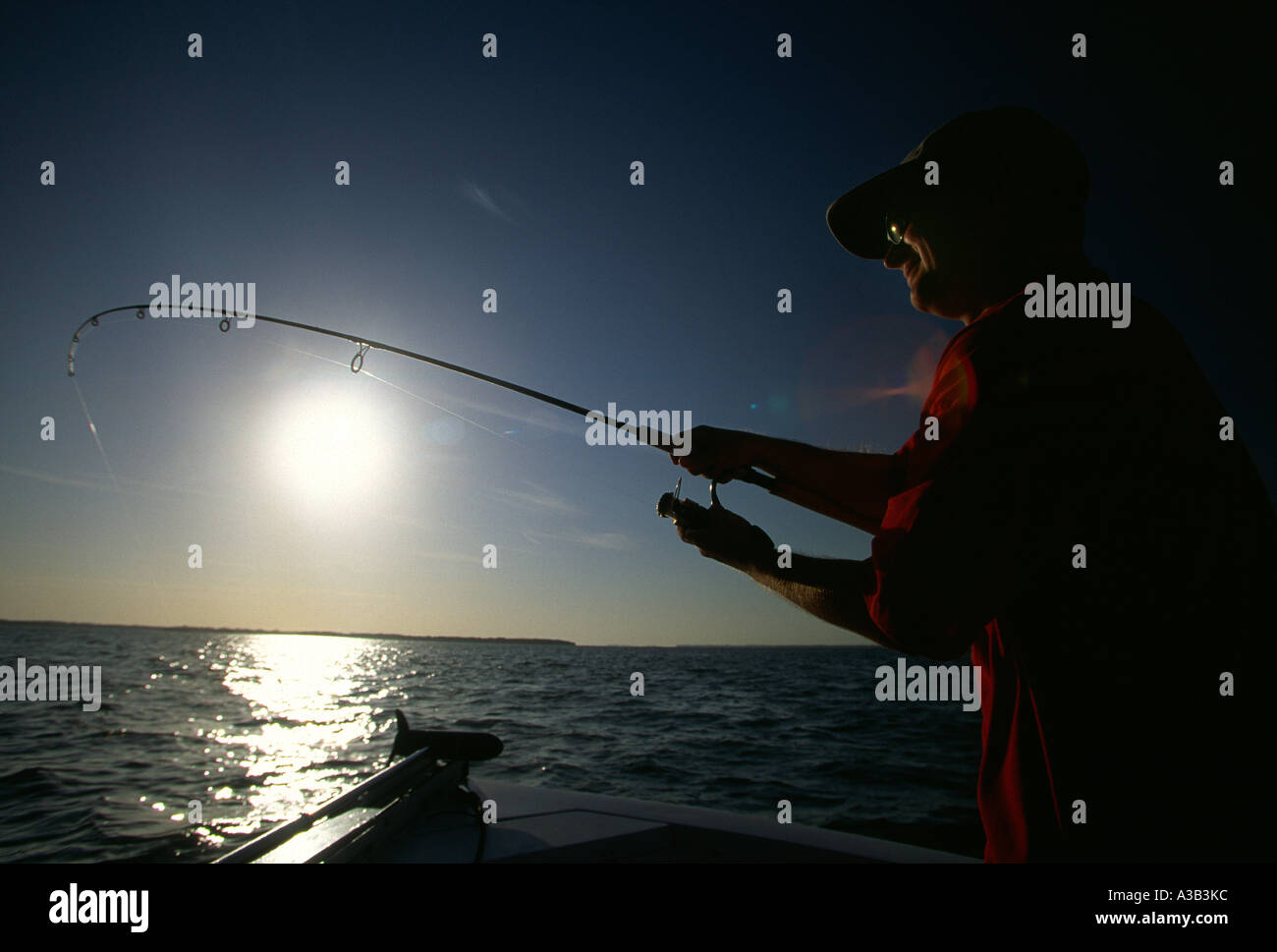Fishing rod boat silhouette hi-res stock photography and images - Alamy