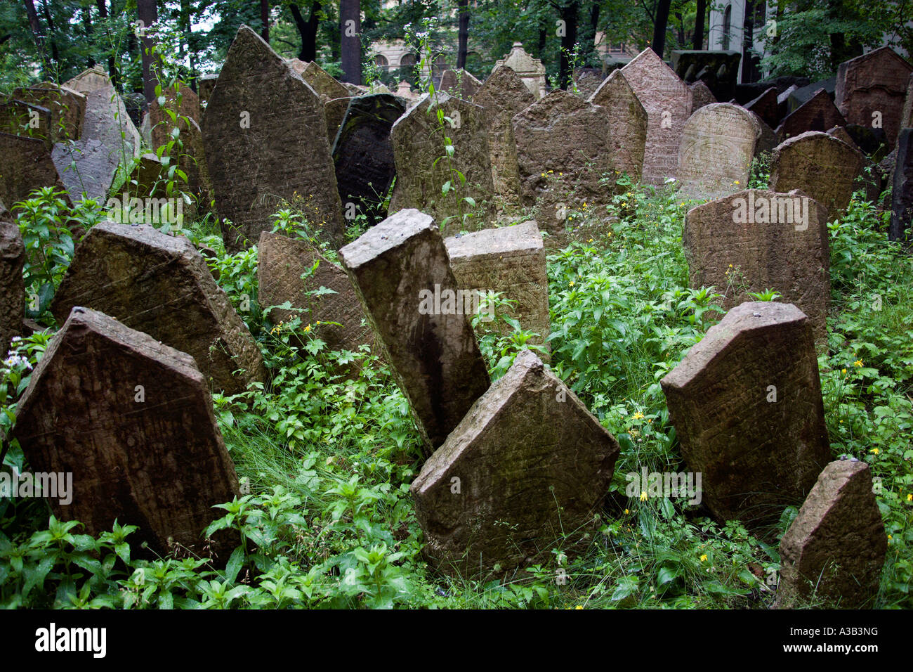 CZECH REPUBLIC Czechia Bohemia Prague Densely packed gravestones in ...