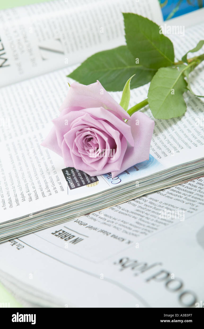 Purple magazine hi-res stock photography and images - Alamy