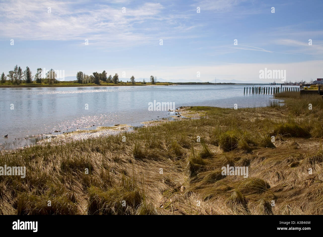 Fraser river estuary canada hi-res stock photography and images - Alamy