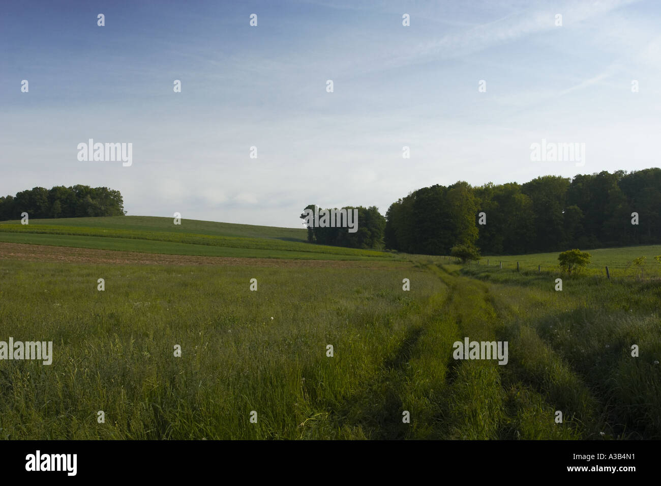 Farm fields with blue sky in Ohio Stock Photo - Alamy