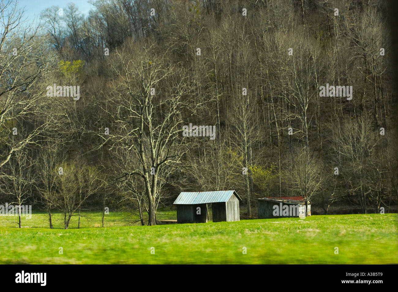 A homestead cabin in the mountains of Tennessee Stock Photo - Alamy