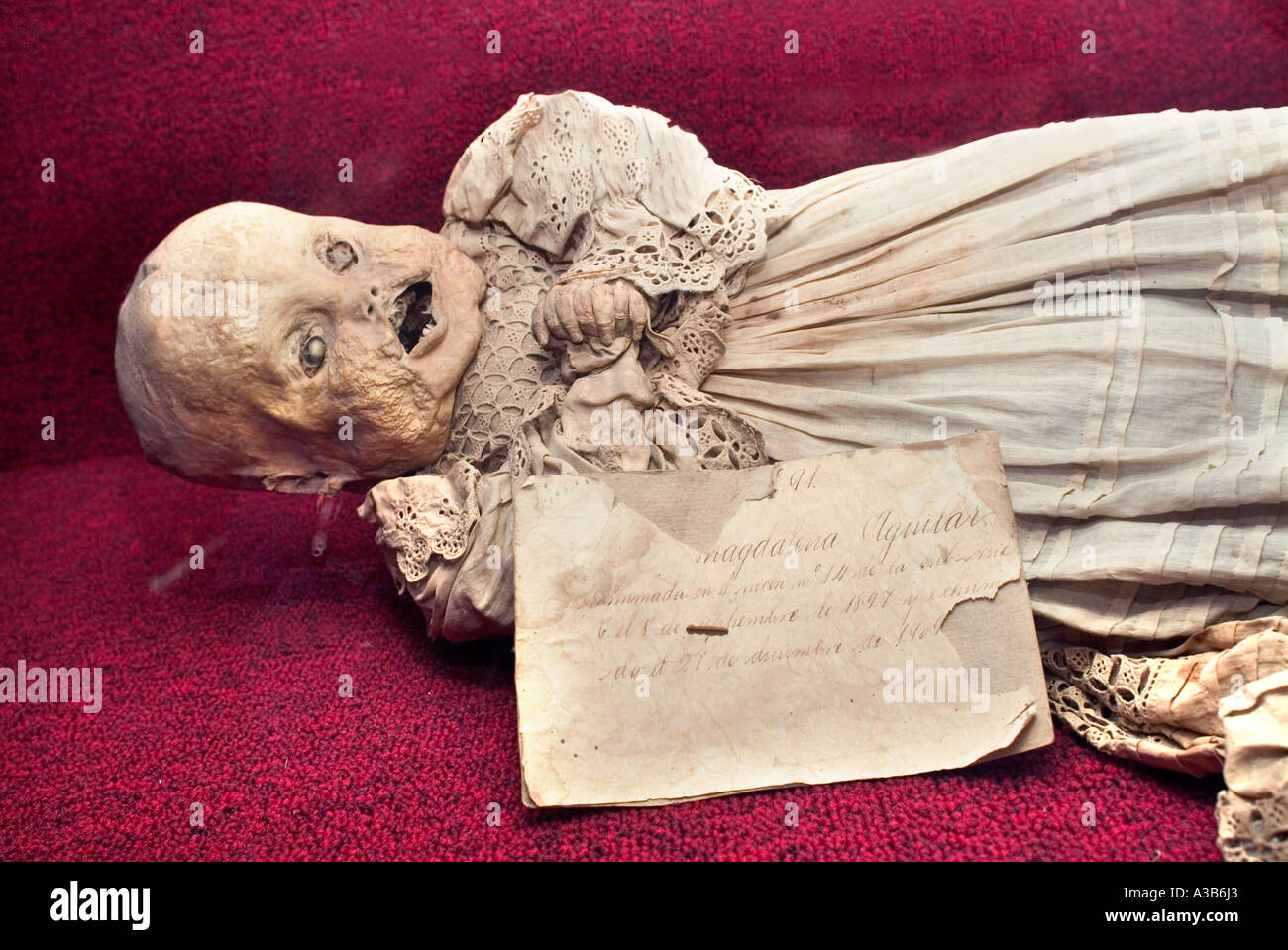 Mummy Museum known as El Museo de las Momias Guanajuato Mexico Stock ...