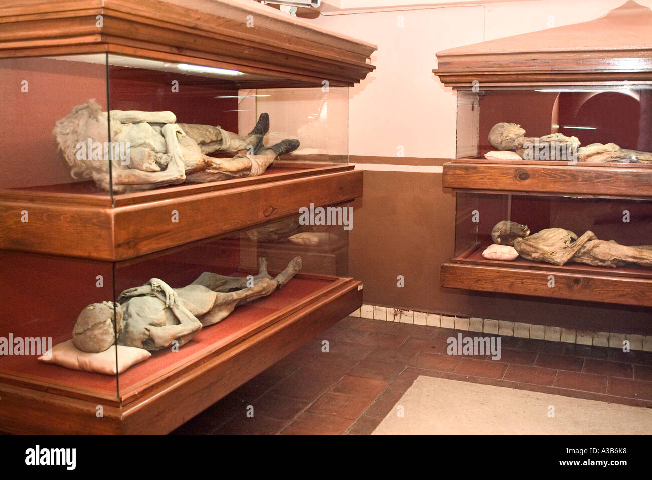 Mummy Museum known as El Museo de las Momias Guanajuato Mexico Stock ...