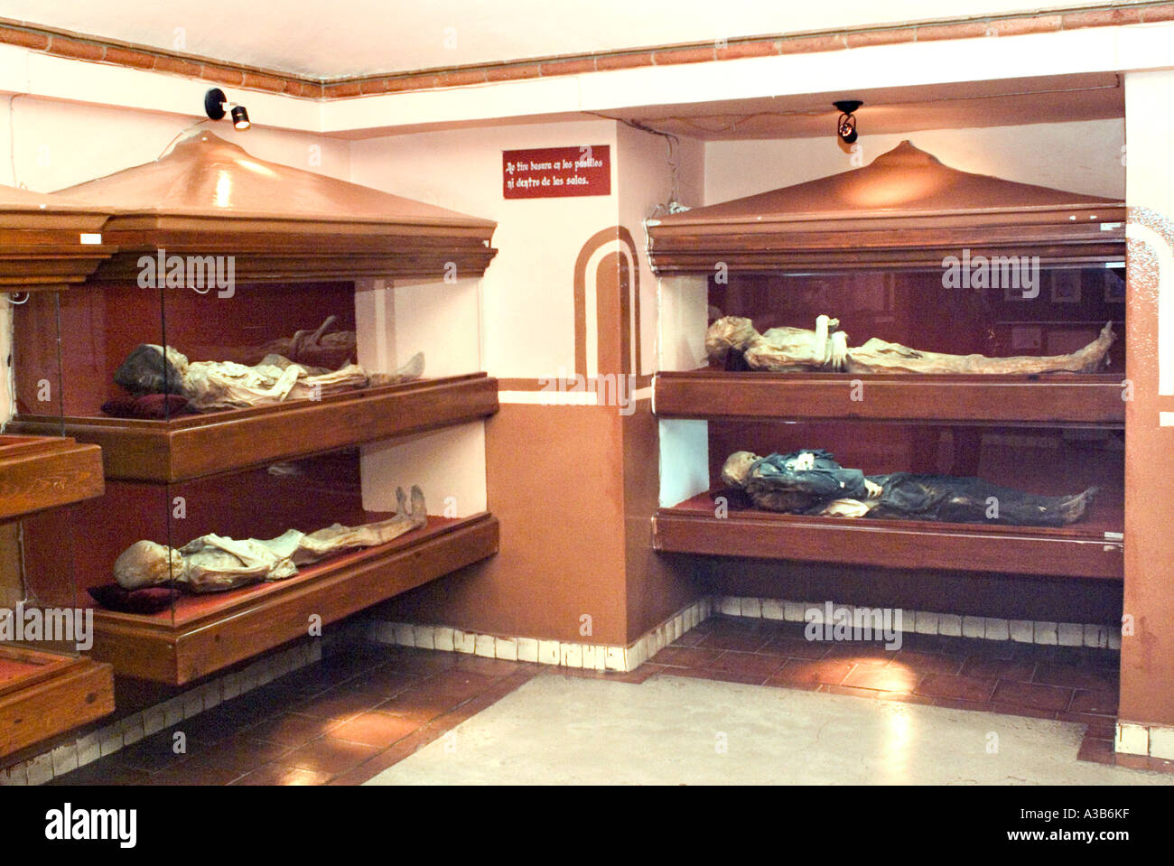 Mummy Museum known as El Museo de las Momias Guanajuato Mexico Stock ...