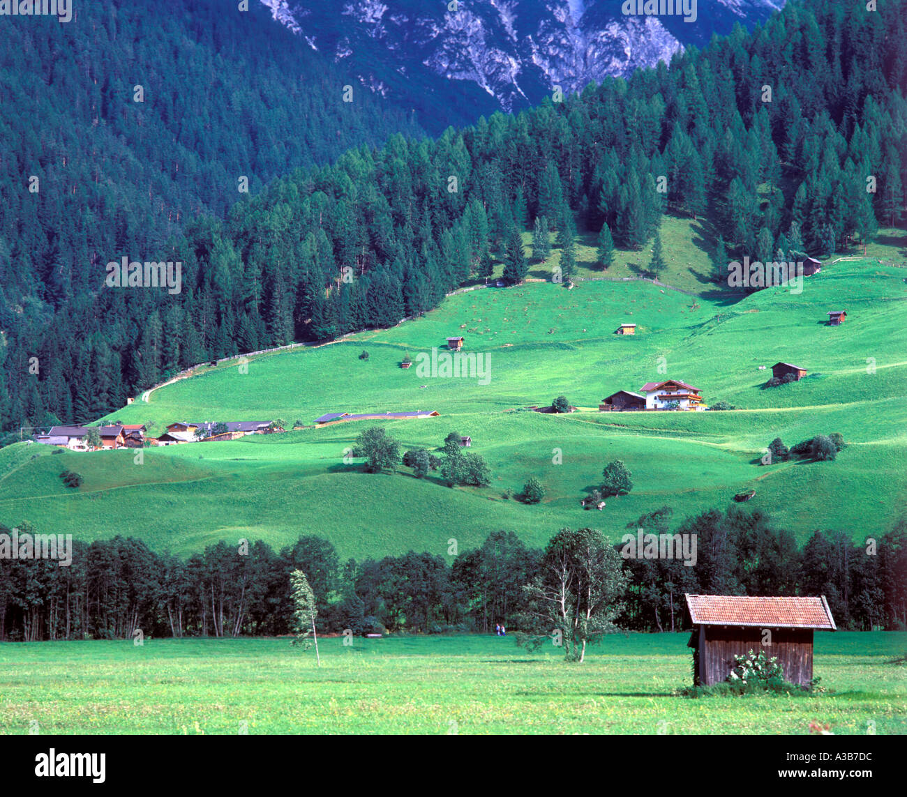 Austrian fields hi-res stock photography and images - Alamy