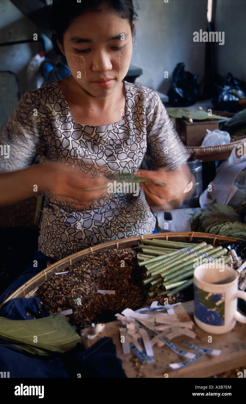 Myanmar Burma Southeast Asia Bago Cheroot Factory Young female worker ...