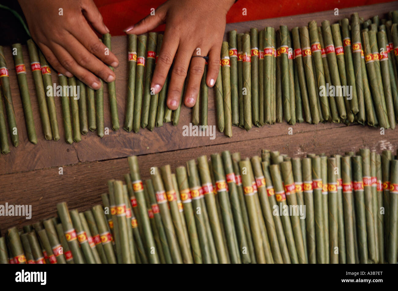 Myanmar Burma Southeast Asia Bago Cheroot Factory Cropped shot looking ...