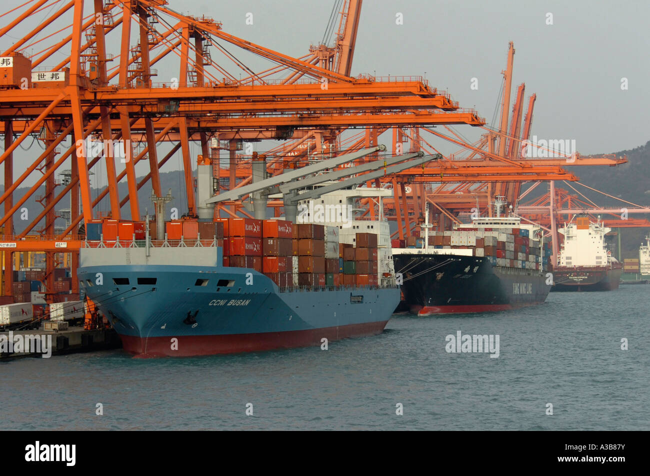 SOUTH KOREA Asia Yeongnam Busan Container ships at container port dock ...