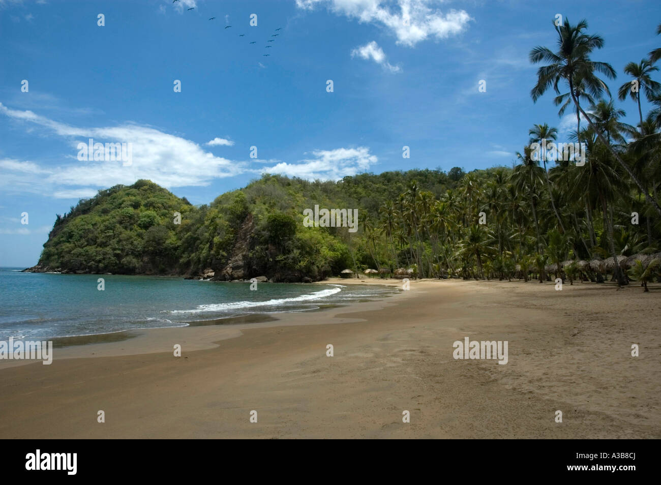 VENEZUELA Sucre State Playa Medina Stock Photo - Alamy