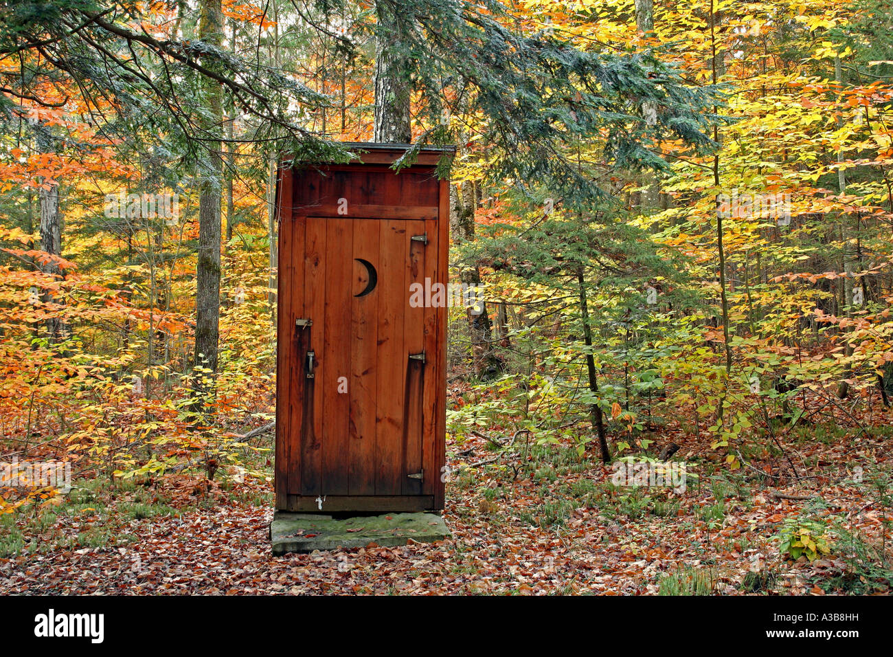 USA New Hampshire Sullivan Wooden outhouse in an autumn forest setting ...