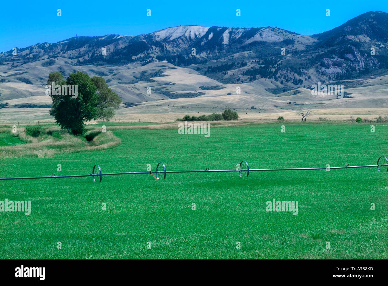Wide open spaces of Wyoming Stock Photo - Alamy