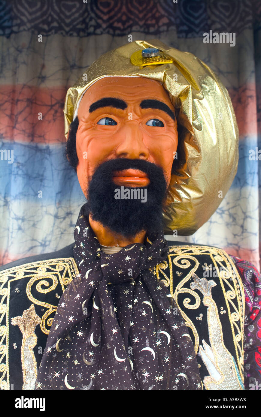 Male Fortune Teller