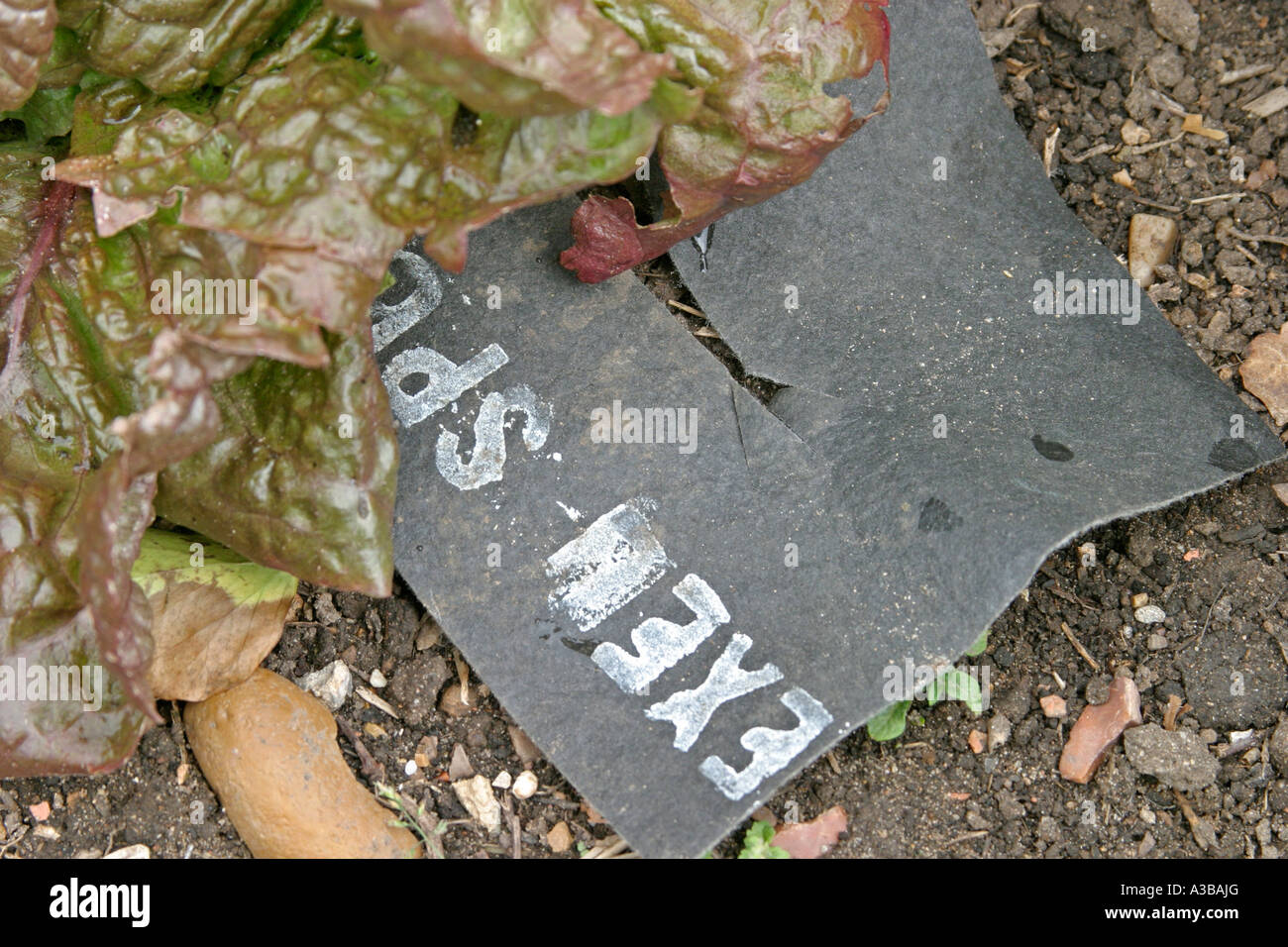 Slug and snail shocka copper coated fabric gives slugs and snails an ...