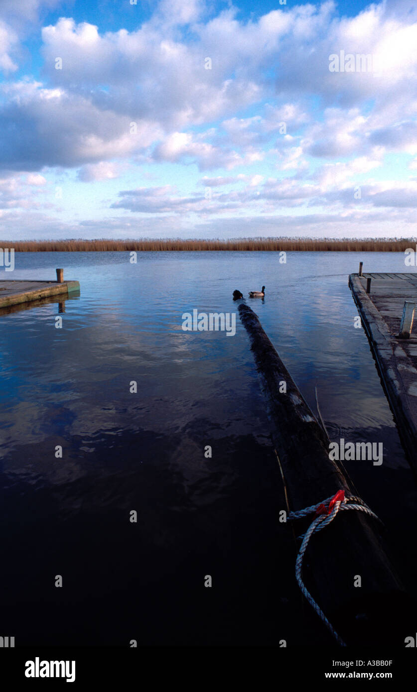 Reedham Ferry 4 Stock Photo - Alamy