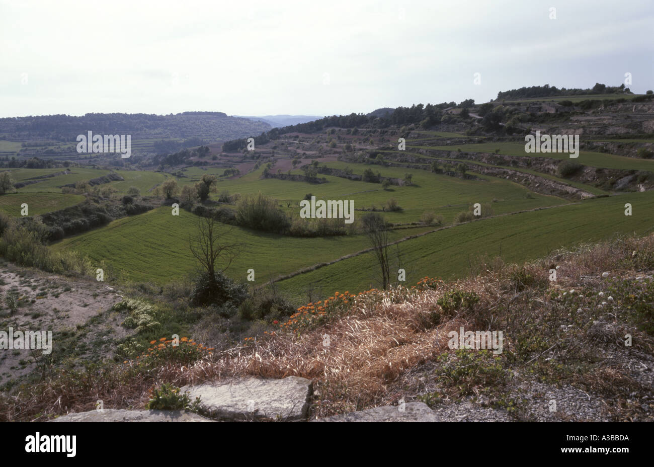 farm land in spring catalunyia spain Stock Photo - Alamy