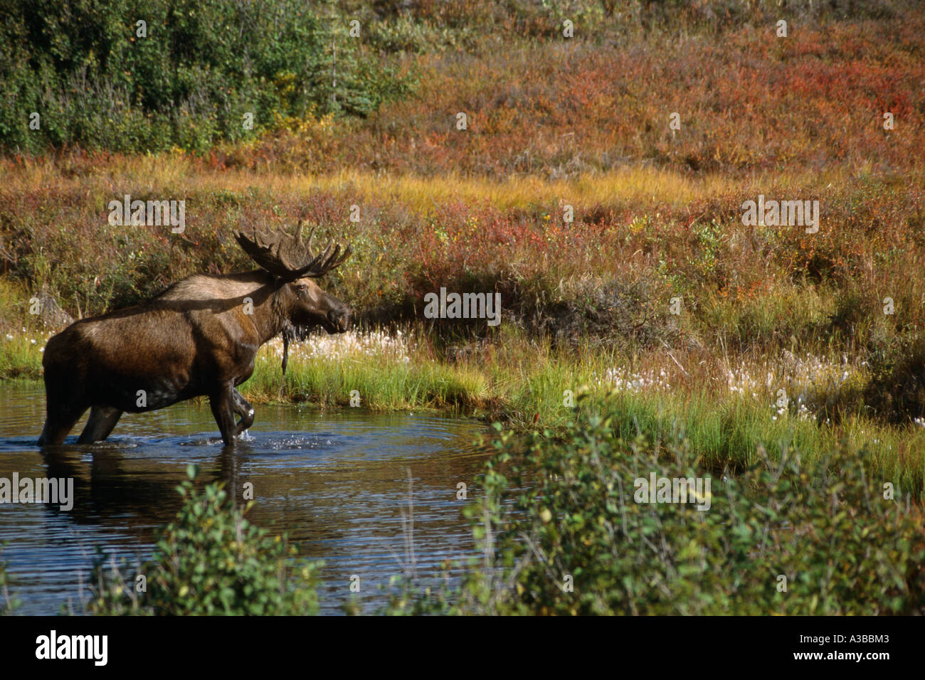 State park visitor center interior hi-res stock photography and images ...