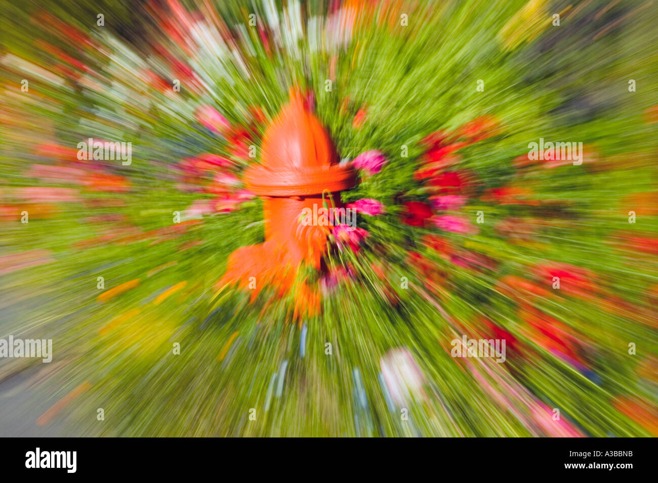 Fire hydrant flowers Kodiak Island Southwest Alaska Stock Photo - Alamy