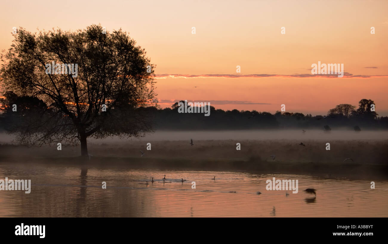 Sunrise over Leg of Mutton Pond Bushy Park London England Stock Photo ...