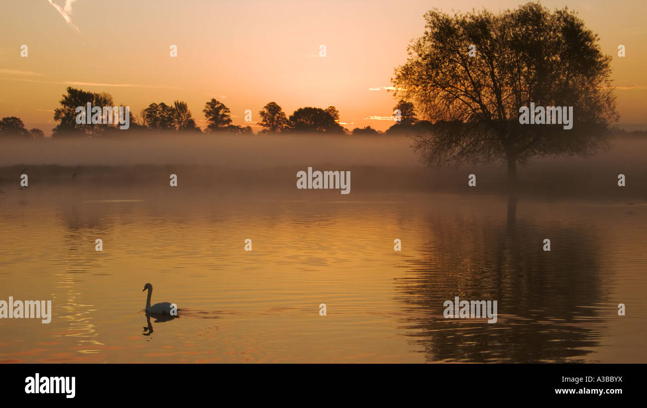 Sunrise over Leg of Mutton Pond Bushy Park London England Stock Photo ...