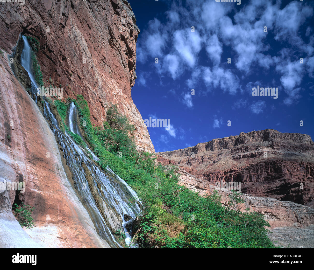 Vaseys paradise hi-res stock photography and images - Alamy