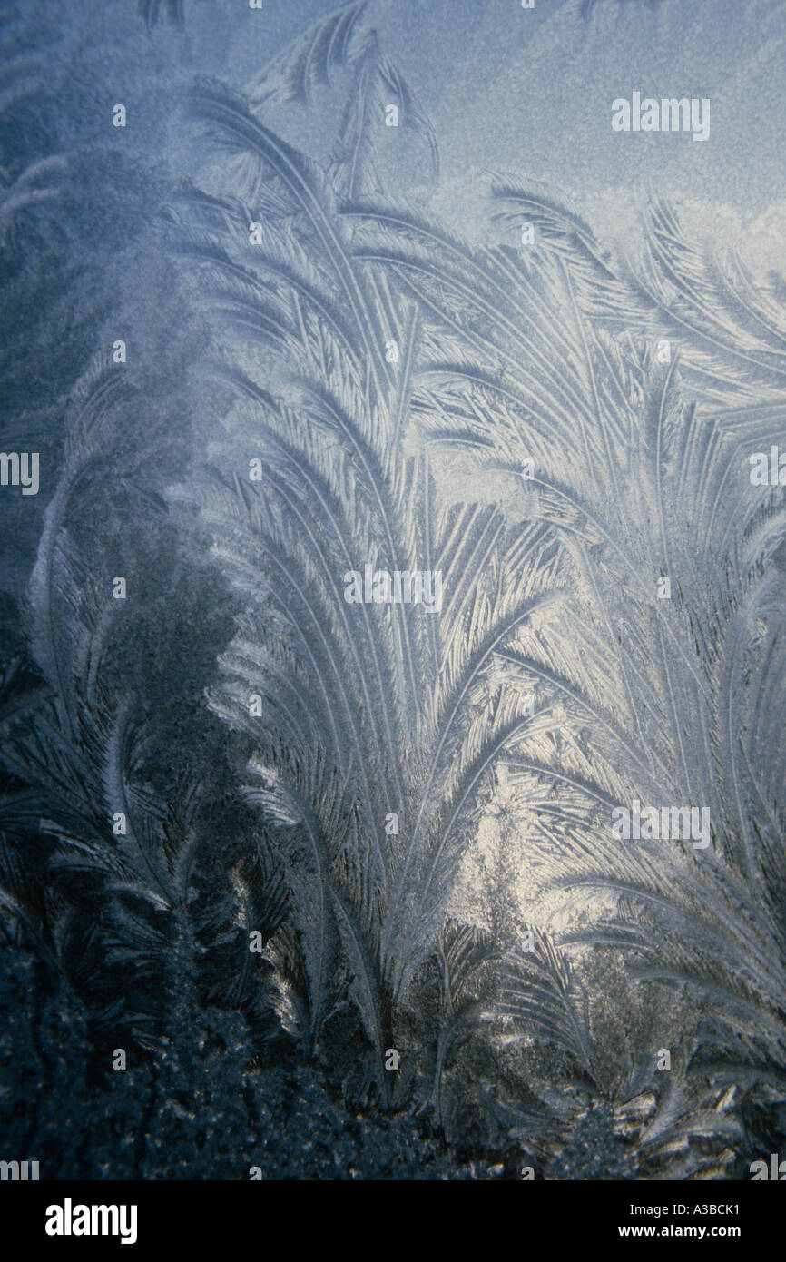 Frost patterns on window pane Sitka Alaska Southeast Winter Stock Photo ...