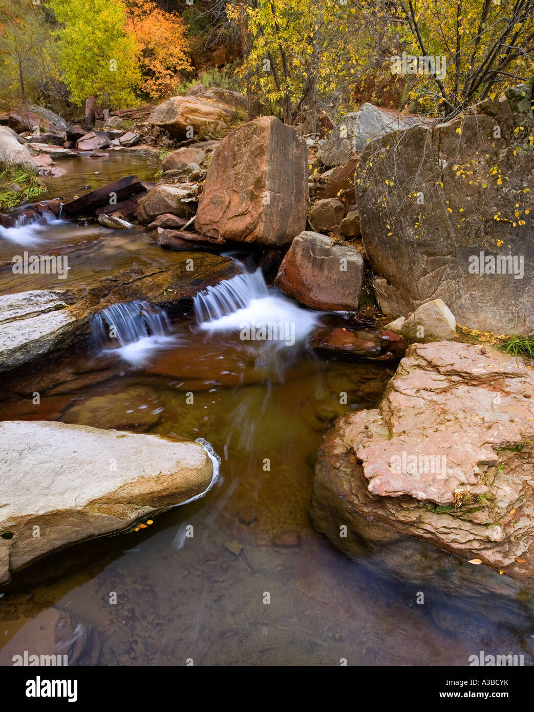 small waterfall and stream running Zion National Park, Utah Stock Photo ...