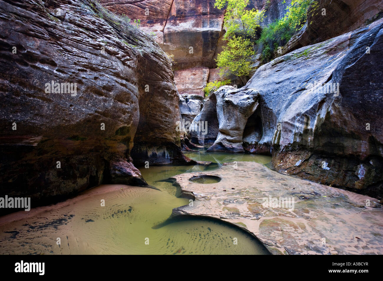 The Subway - Zion National Park, Utah Stock Photo - Alamy