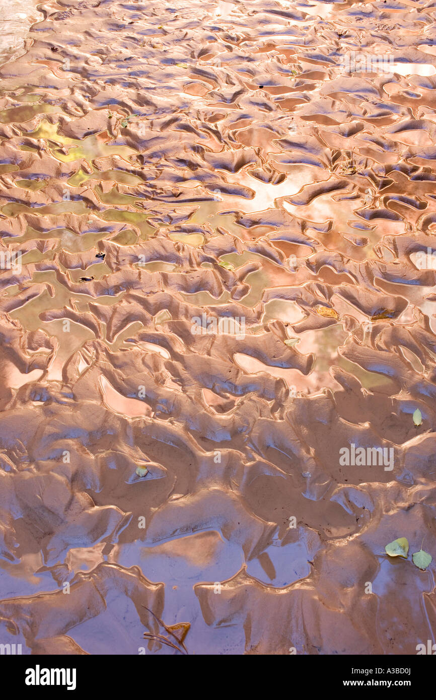 Mud Puddles forming pattern and textures in Zion National Park Stock ...