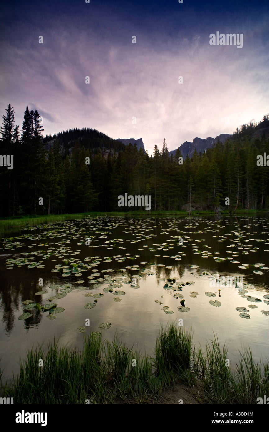 Nymph Lake Rocky Mountain National Park Colorado Stock Photo - Alamy
