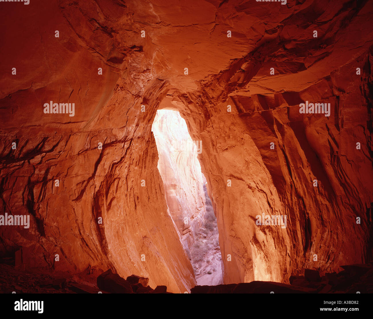 Proposed blm wilderness hi-res stock photography and images - Alamy